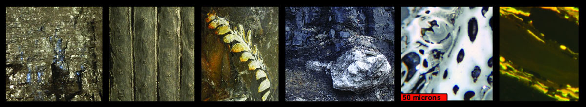 What's in Coal? Kentucky Geological Survey, University of Kentucky