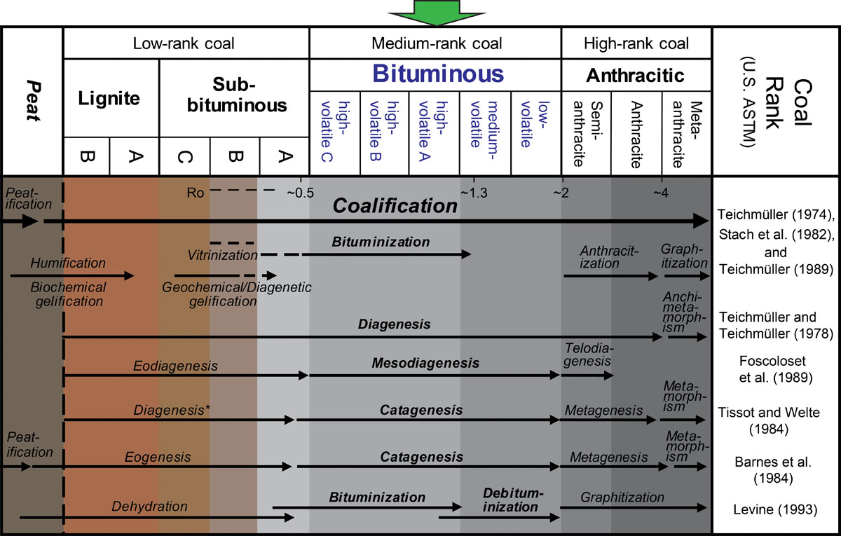 Coal, Kentucky Geological Survey, University of Kentucky