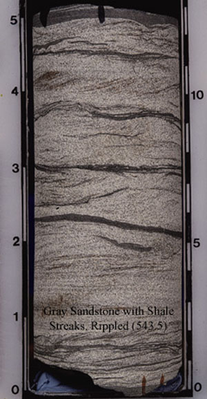 Coal Core,Sedimentary Structures, Kentucky Geological Survey ...