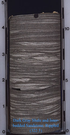 Coal Core,Sedimentary Structures, Kentucky Geological Survey ...