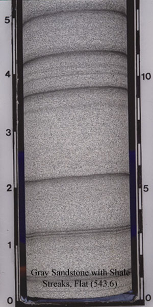 Coal Core,Sedimentary Structures, Kentucky Geological Survey ...