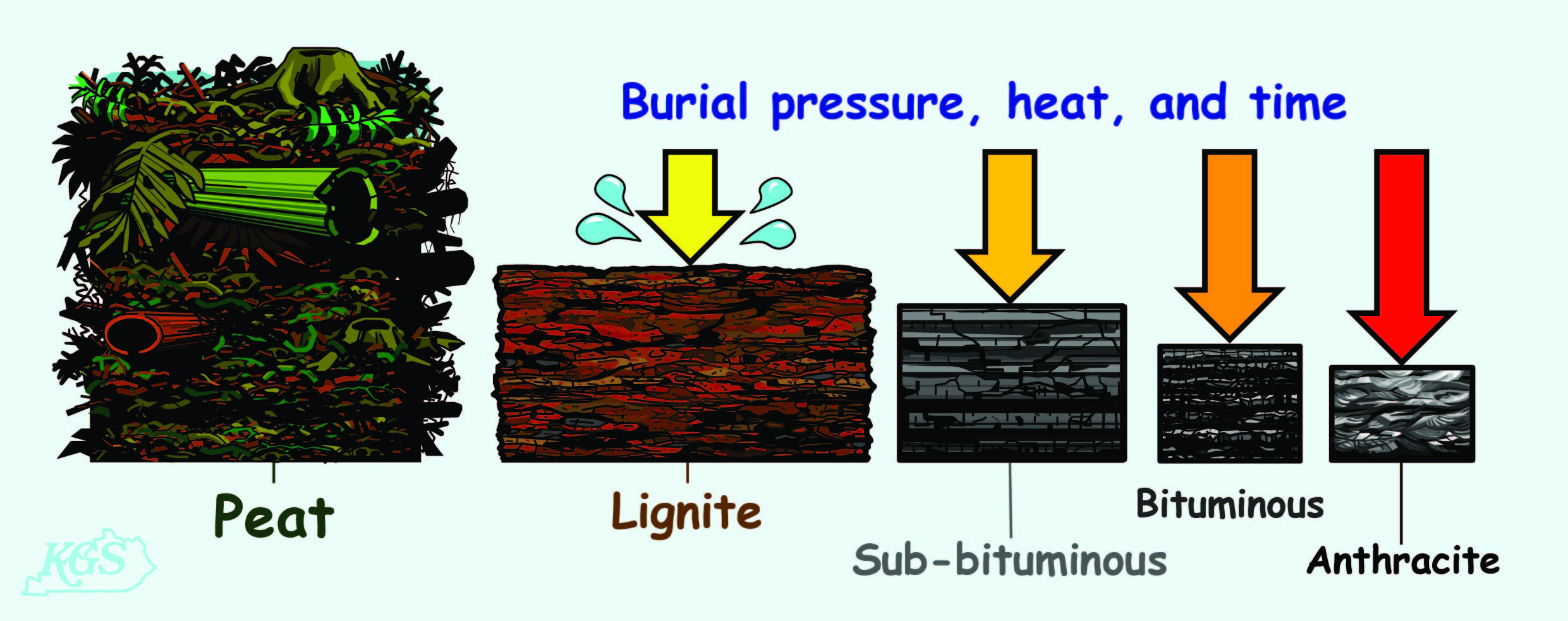 Coal Formation Diagram For Kids Coal Formation Diagram For Kids