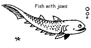 Images in Time - Silurian Period, Kentucky Geological Survey ...