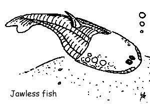 Images in Time - Silurian Period, Kentucky Geological Survey ...