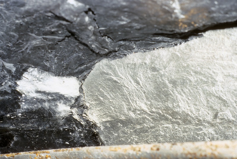 Upright (Standing) Fossil Tree Stumps, Fossils, Kentucky Geological ...