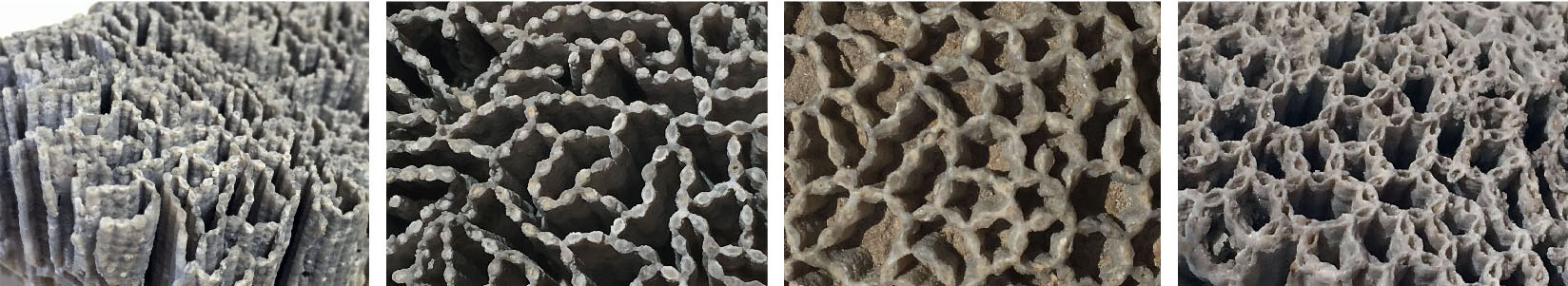 Tabulate corals, Chain and organ-pipe shapes , Fossils, Kentucky ...