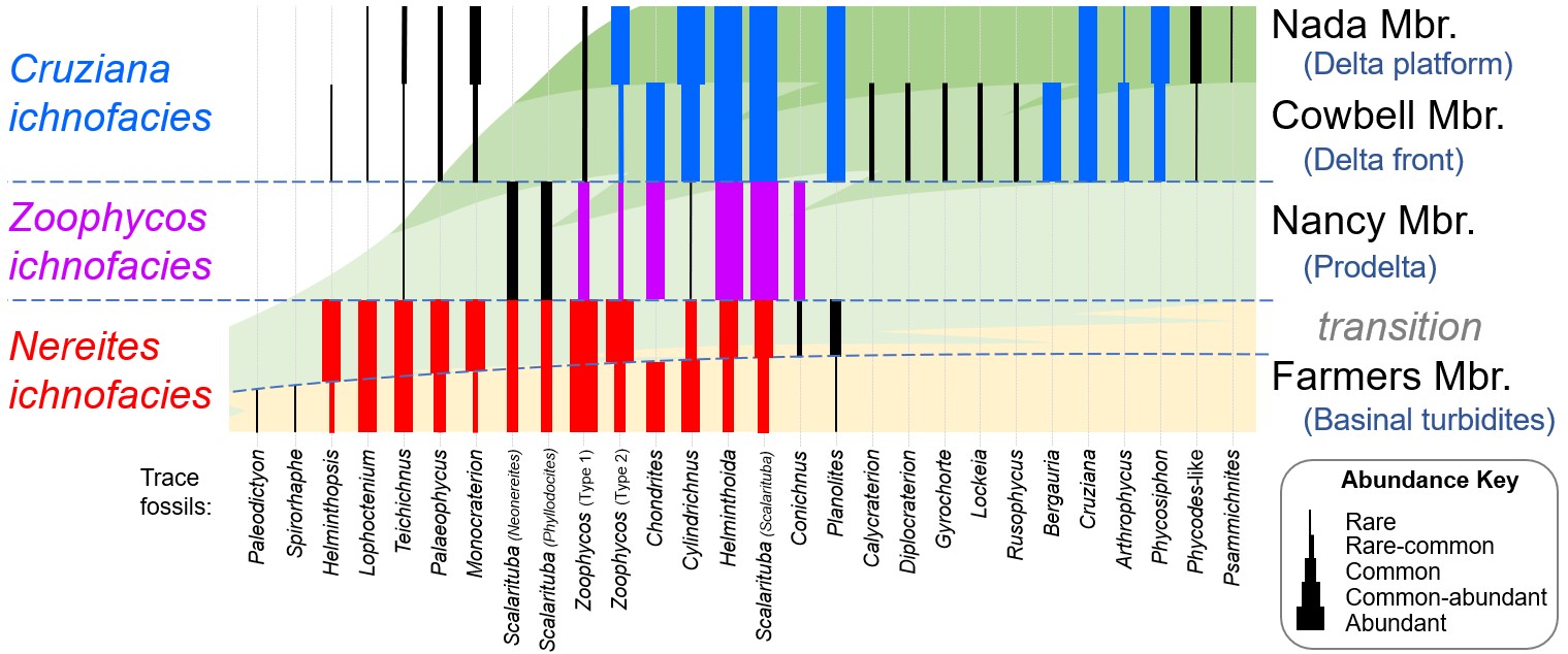 Trace Fossils, Ichnofacies, Kentucky Geological Survey, University of ...