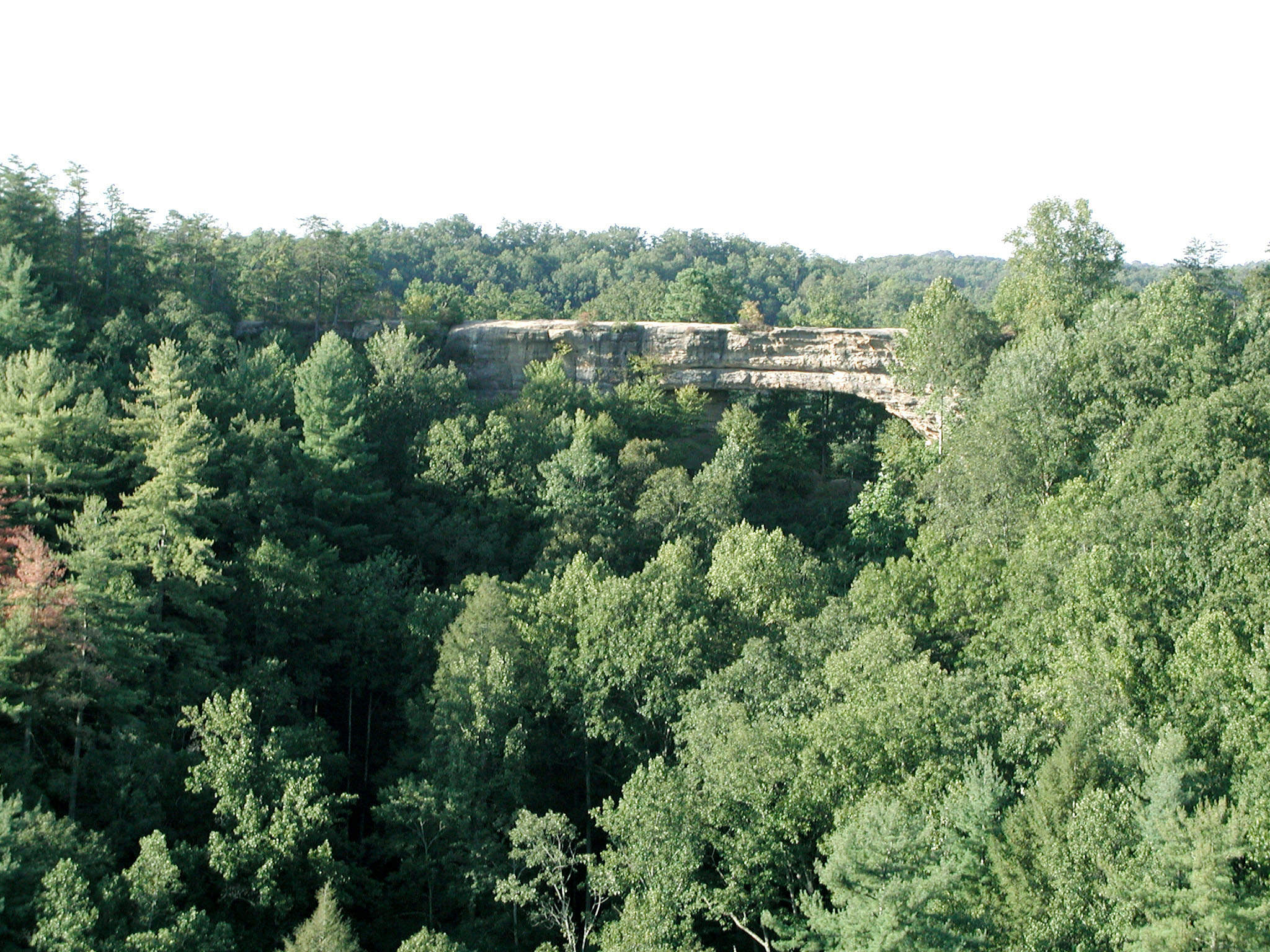 Natural Bridge State Resort Park