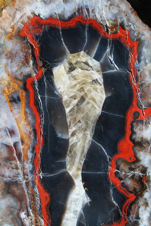 Specimen of the month from the KGS collection: Kentucky agate