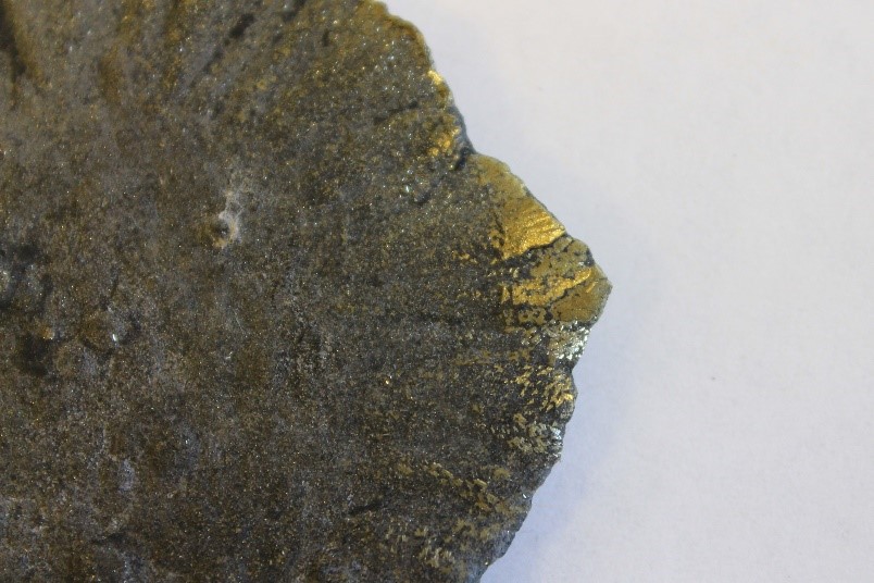Specimen of the month from the KGS collection: Pyrite