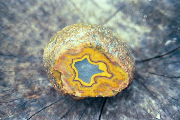 Kentucky Agate Gallery, Kentucky Geological Survey, University of Kentucky