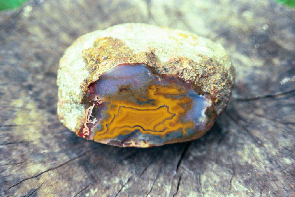 Kentucky Agate Gallery, Kentucky Geological Survey, University of Kentucky