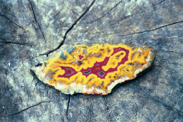 Kentucky Agate Gallery, Kentucky Geological Survey, University of Kentucky
