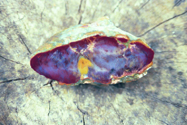 Kentucky Agate Gallery, Kentucky Geological Survey, University of Kentucky