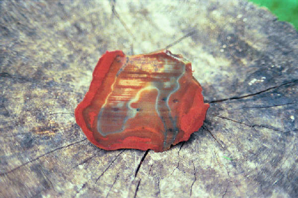 Kentucky Agate Gallery, Kentucky Geological Survey, University of Kentucky