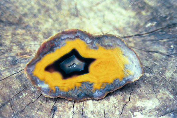 Kentucky Agate Gallery, Kentucky Geological Survey, University of Kentucky