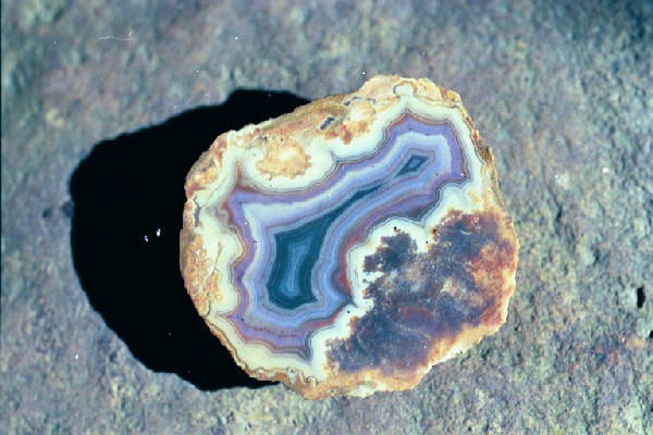 Kentucky Agate Gallery, Kentucky Geological Survey, University of Kentucky