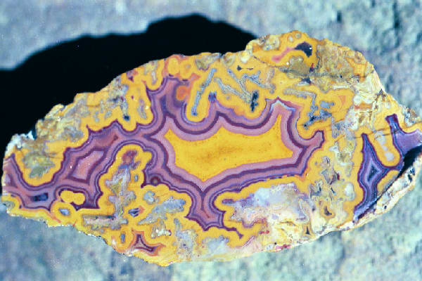 Kentucky Agate Gallery, Kentucky Geological Survey, University of Kentucky