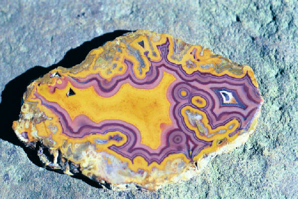 Kentucky Agate Gallery, Kentucky Geological Survey, University of Kentucky