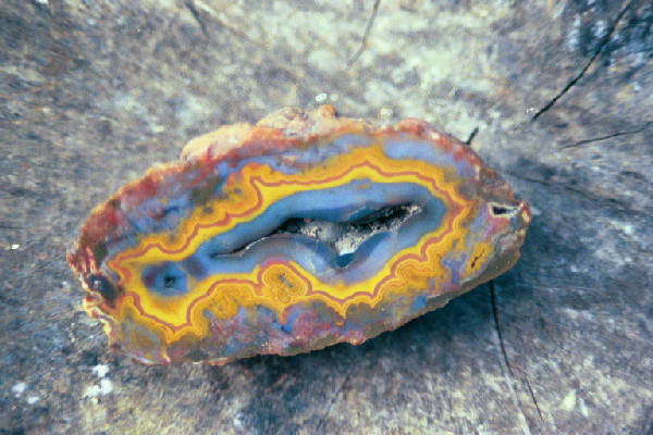 Kentucky Agate Gallery, Kentucky Geological Survey, University of Kentucky