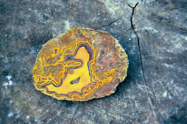 Kentucky Agate Gallery, Kentucky Geological Survey, University of Kentucky