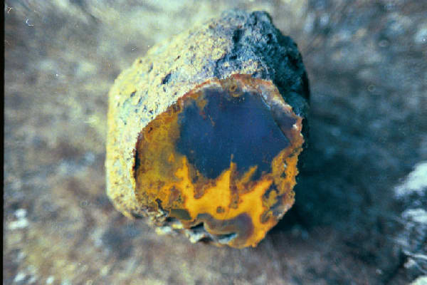 Kentucky Agate Gallery, Kentucky Geological Survey, University of Kentucky