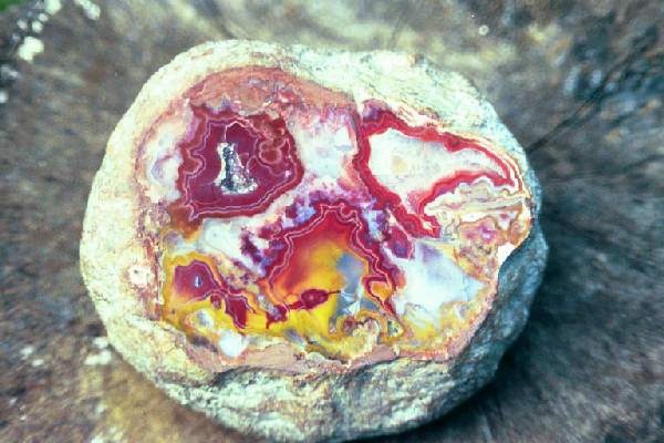 Kentucky Agate Gallery, Kentucky Geological Survey, University of Kentucky