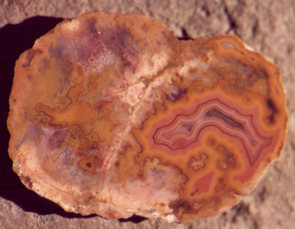 Kentucky Agate Gallery, Kentucky Geological Survey, University of Kentucky