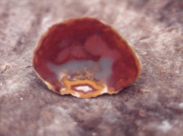 Kentucky Agate Gallery, Kentucky Geological Survey, University of Kentucky