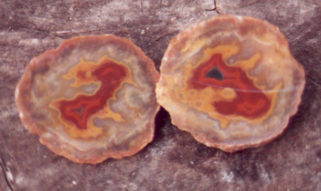 Kentucky Agate Gallery, Kentucky Geological Survey, University of Kentucky