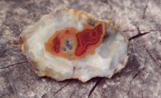 Kentucky Agate Gallery, Kentucky Geological Survey, University of Kentucky