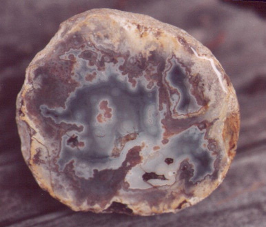 Kentucky Agate Gallery, Kentucky Geological Survey, University of Kentucky