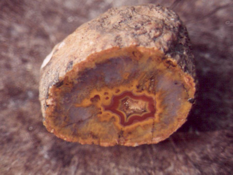 Kentucky Agate Gallery, Kentucky Geological Survey, University of Kentucky