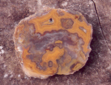 Kentucky Agate Gallery, Kentucky Geological Survey, University of Kentucky