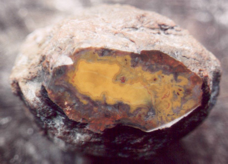 Kentucky Agate Gallery, Kentucky Geological Survey, University of Kentucky