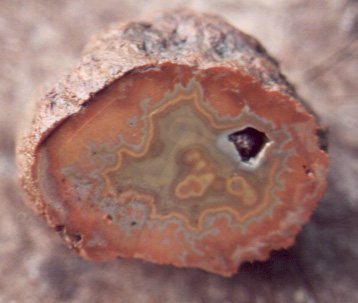 Kentucky Agate Gallery, Kentucky Geological Survey, University of Kentucky