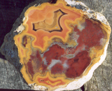 Kentucky Agate Gallery, Kentucky Geological Survey, University of Kentucky
