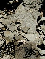 Shale, Rocks and Minerals, Kentucky Geological Survey, University of ...